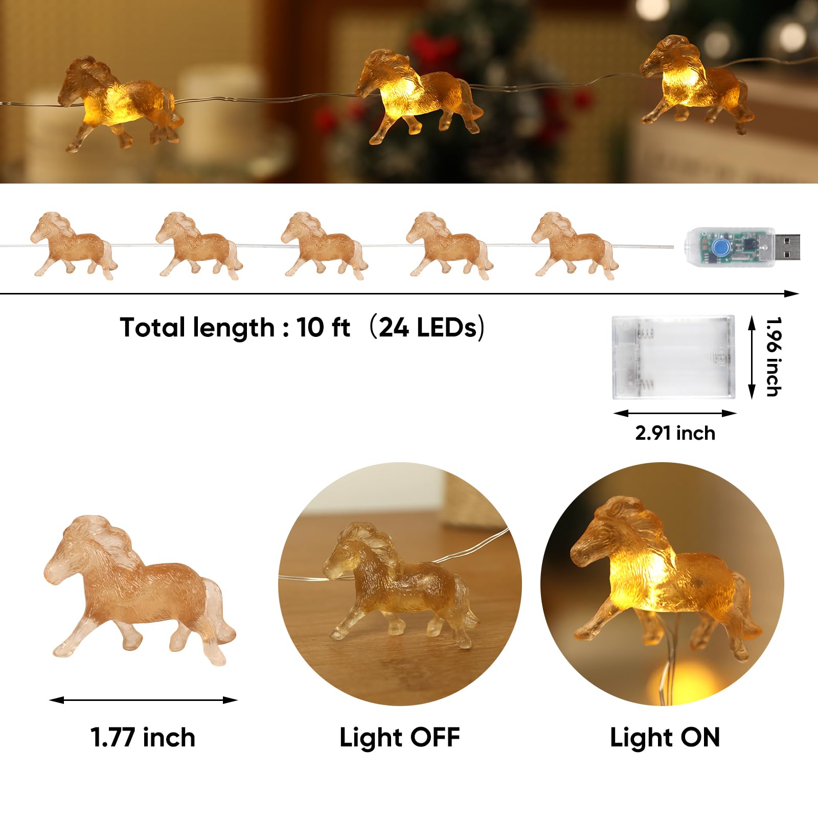 Western Theme String Lights
