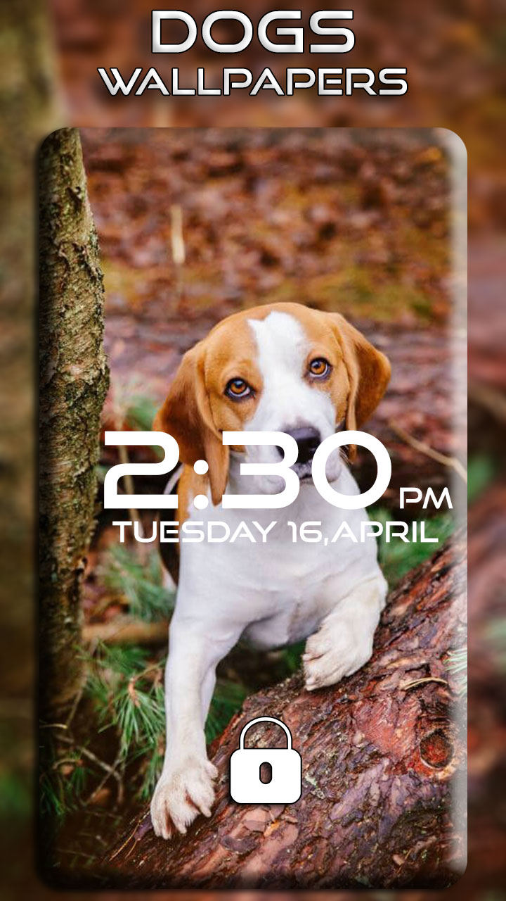 Dog Wallpaper - App on Amazon Appstore