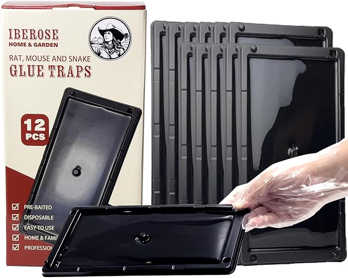 Amazon.com : IBEROSE Glue Mouse Traps Indoor for Home 12 Pack, Traps ...