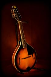 Amazon.com: Rogue RM-100A A-Style Mandolin Sunburst : Musical Instruments