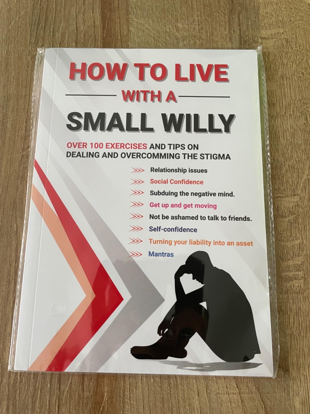 HOW TO LIVE WITH A SMALL WILLY Self Help Book Gift For Him Man Men ...