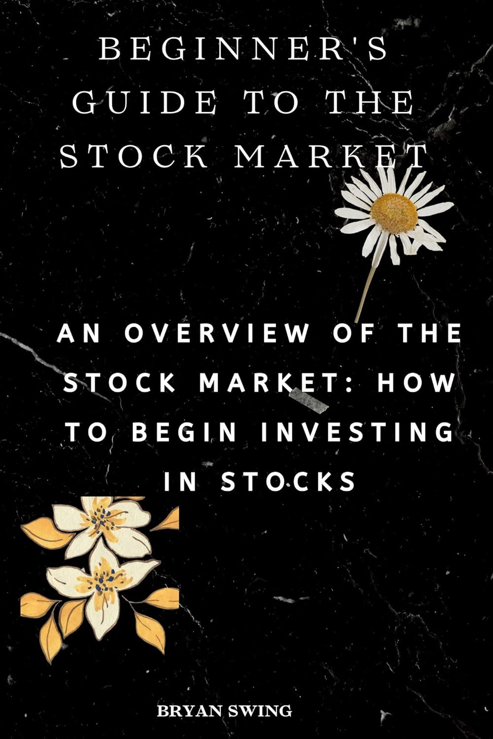 Amazon.com: Beginner's guide to the stock market : An overview of the ...