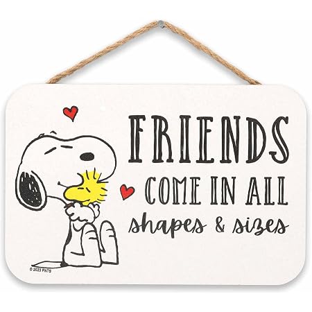 Amazon.com: Peanuts Snoopy Friends Come In All Shapes and Sizes Hanging ...