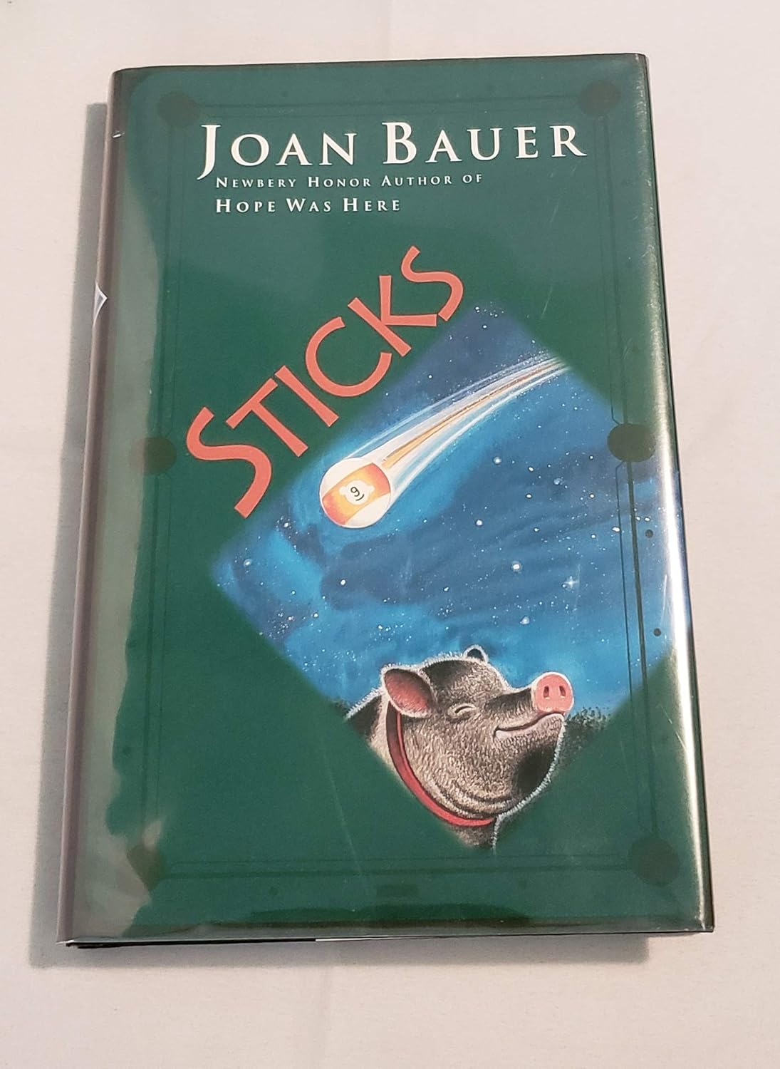 Sticks: Bauer, Joan: 9780399237522: Amazon.com: Books