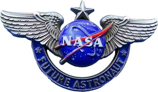 Nasa Astronaut Wings Logo