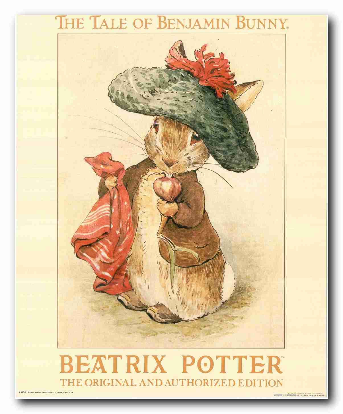Amazon.com: Beatrix Potter Bunny Rabbit Childrens Kids Room Original ...