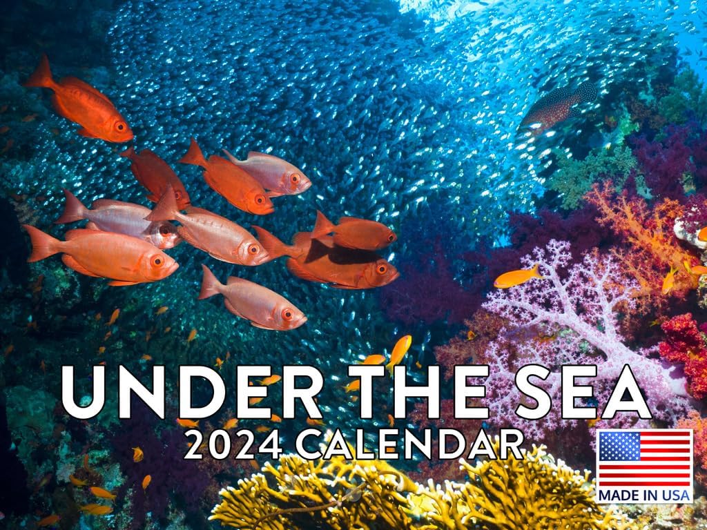 Amazon.com: Under the Sea Fish Calendar 2025 Monthly Wall Calender 12 ...