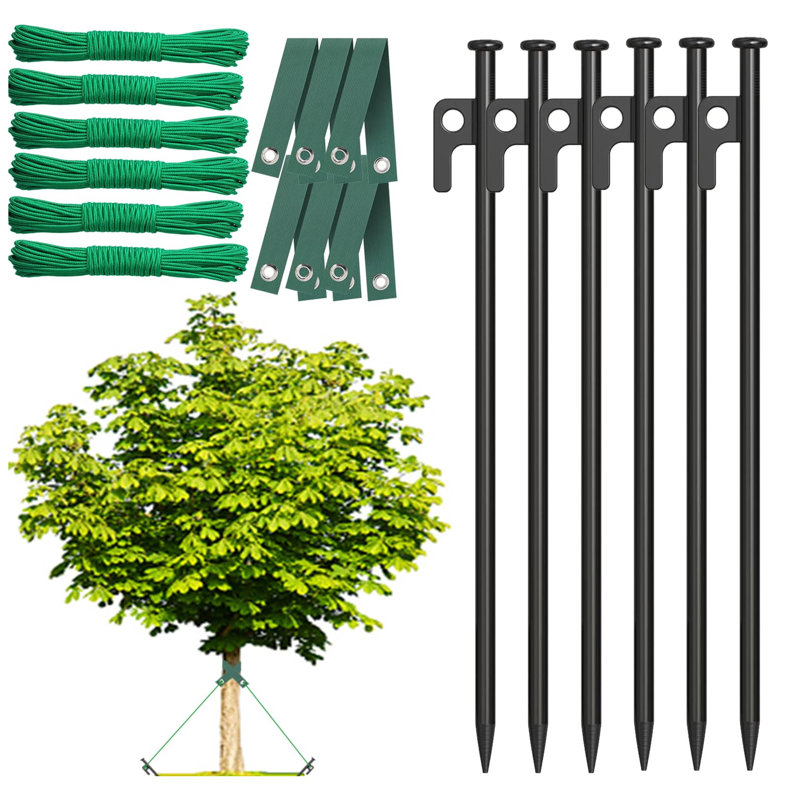 Amazon.com : Tree Stakes and Supports for Leaning Trees/Young Tree ...