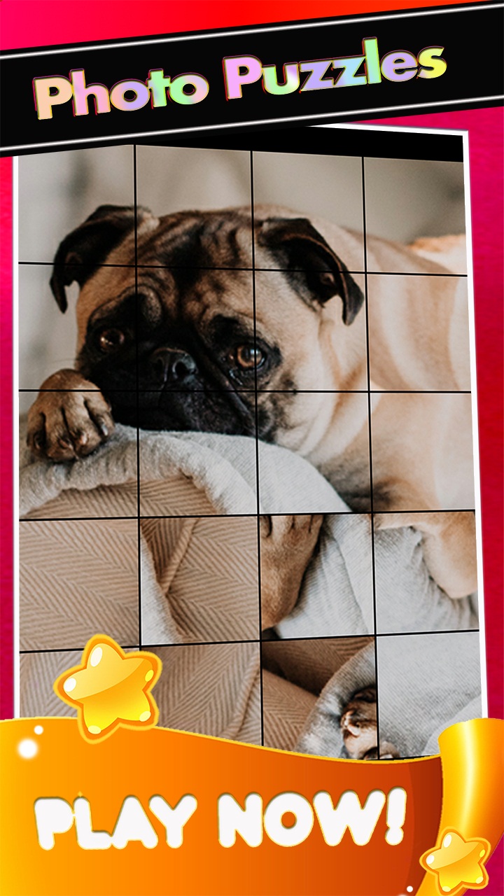 Pugs Pictures-The Cute Pug Puzzle Game - App on Amazon Appstore