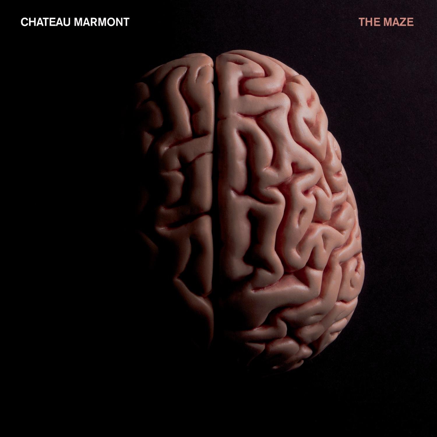 Amazon.com: Maze: CDs & Vinyl