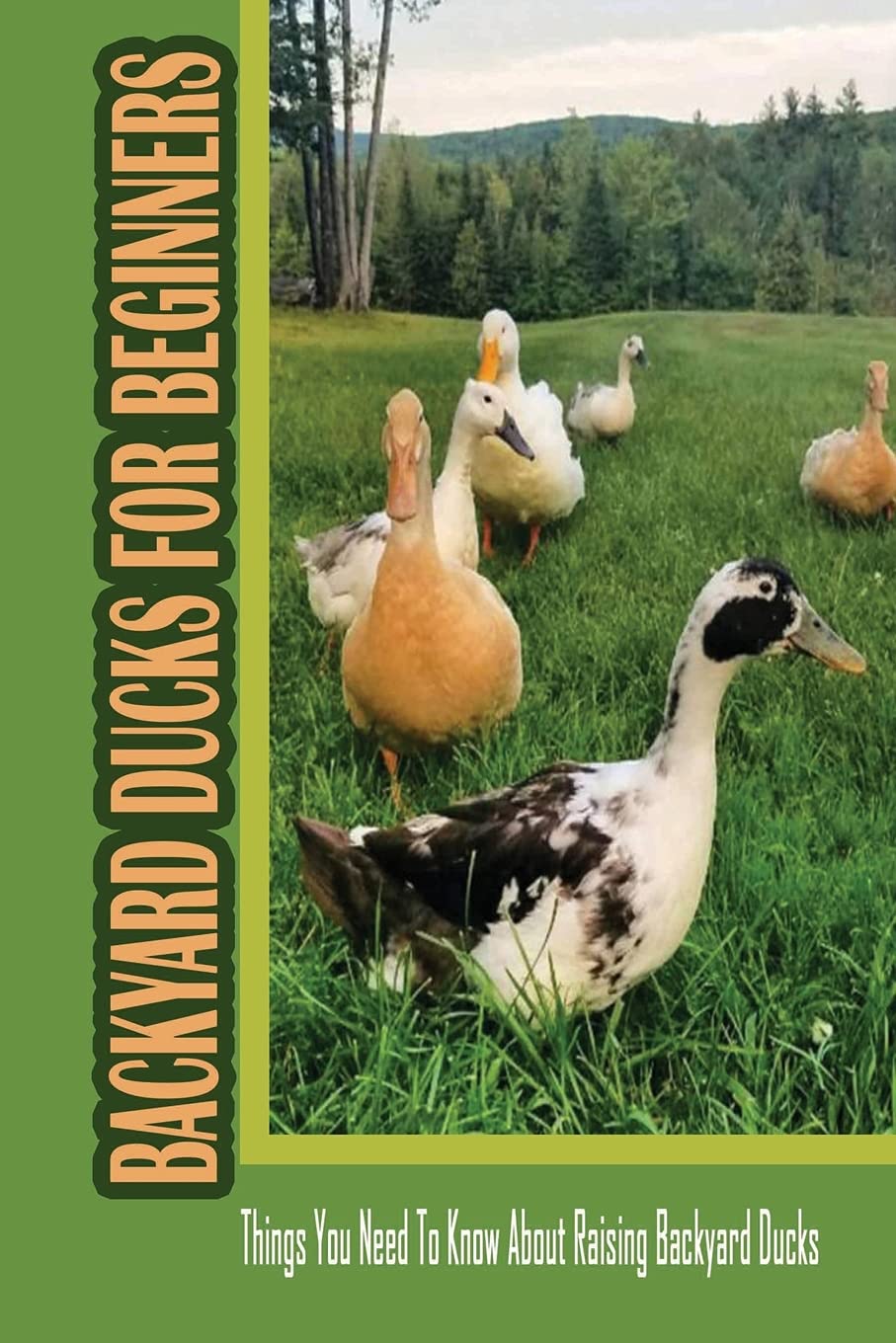 Buy Backyard Ducks For Beginners: Things You Need To Know About Raising ...