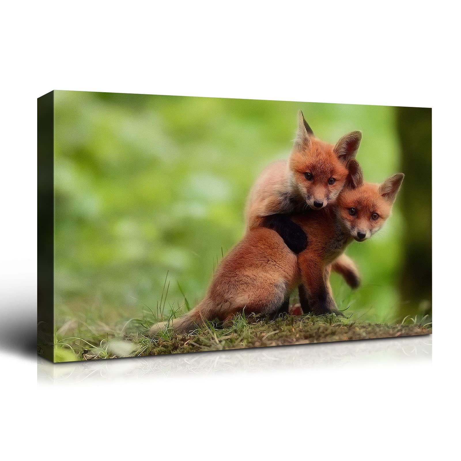 Two Animals Together