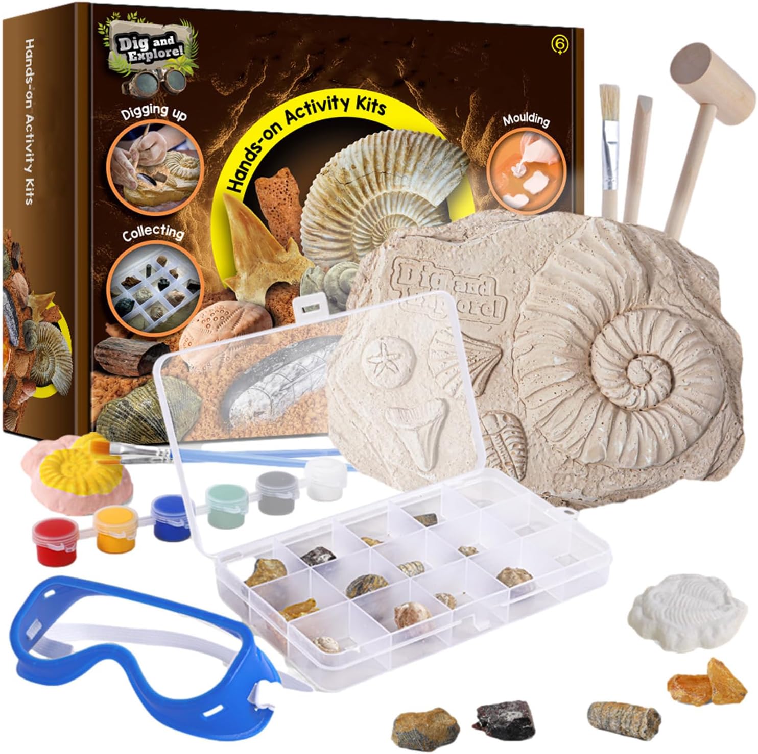 Amazon.co.jp: Fossil Digging Kit, Plaster Excavation Dinosaur Skeleton ...
