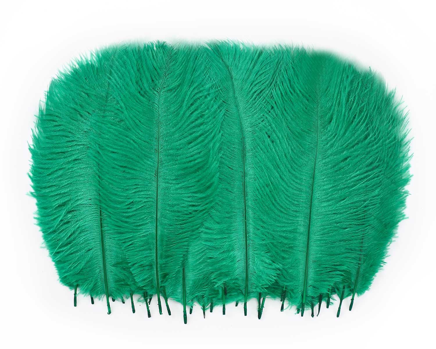Amazon.com: Hollosport 30 PCS Green Ostrich Feathers Bulk 10-12 Inch ...