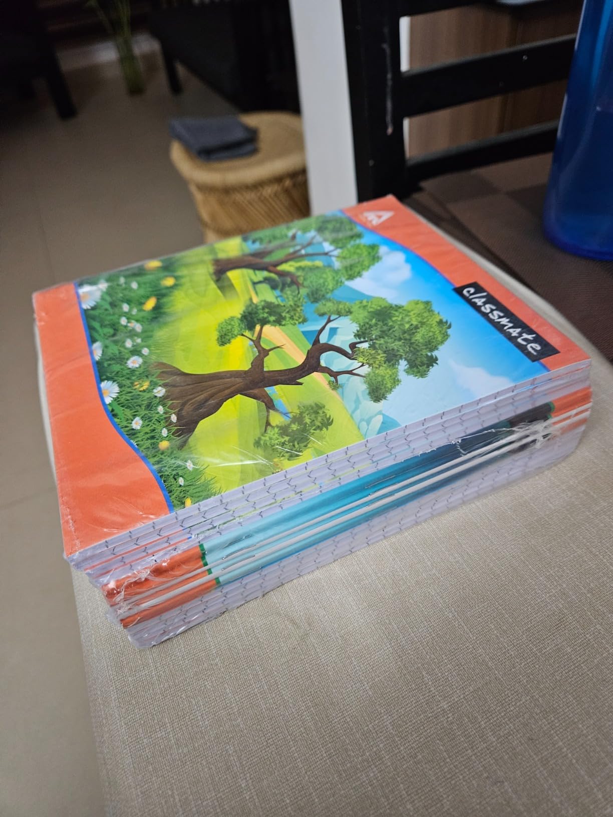Classmate Notebook - Soft Cover, 124 Pages, 210x170mm, Single Line ...