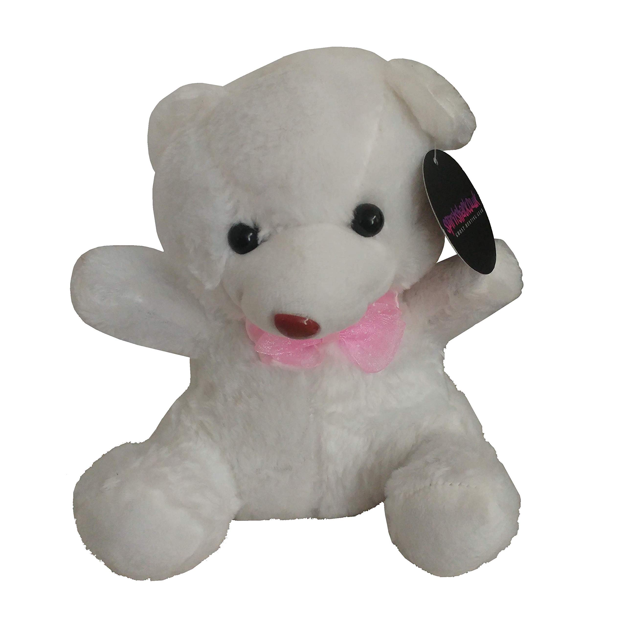 Buy TOUCH ACTIVATED GHOST HUNTING BEAR (EXTREMELY SENSITIVE) KII K2 EMF ...