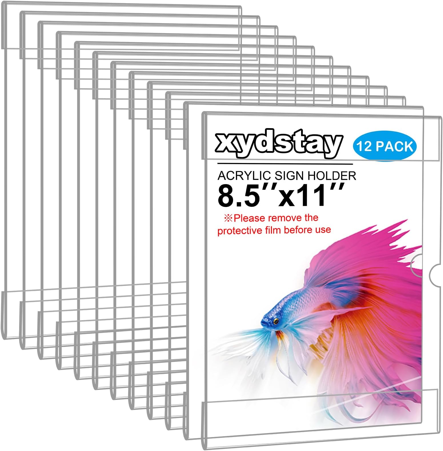 Amazon.com: SSWBasics 7 x 11 inch Flush Mount Acrylic Sign Holder - Use ...