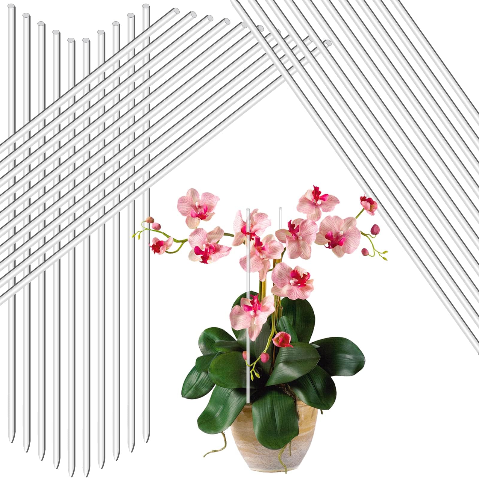 Amazon.com : 30 Pcs 18 Inch Acrylic Plant Stakes Garden Stakes Clear ...