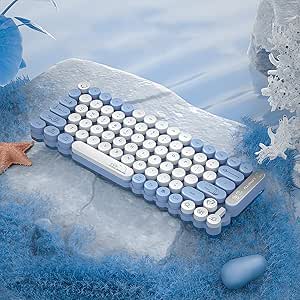 Amazon.com: Laetass Skeleton Punkston Wireless Keyboard, Bluetooth/2.4G ...