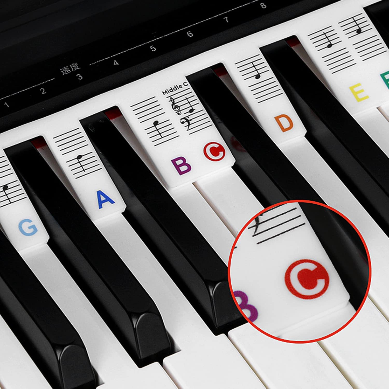 Snapklik.com : Gute Piano Key Stickers For Beginners, Removable Piano ...
