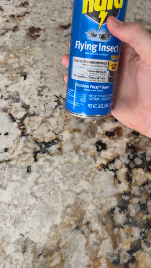 Watch Take out pesky insects #CreatorFavorites2024 on Amazon Live