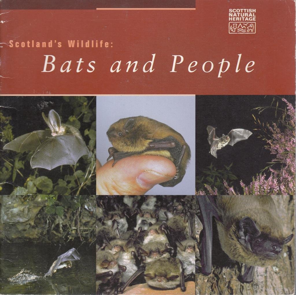 Scottish Natural Heritage Scotland's Wildlife: Bats and People: Amazon ...