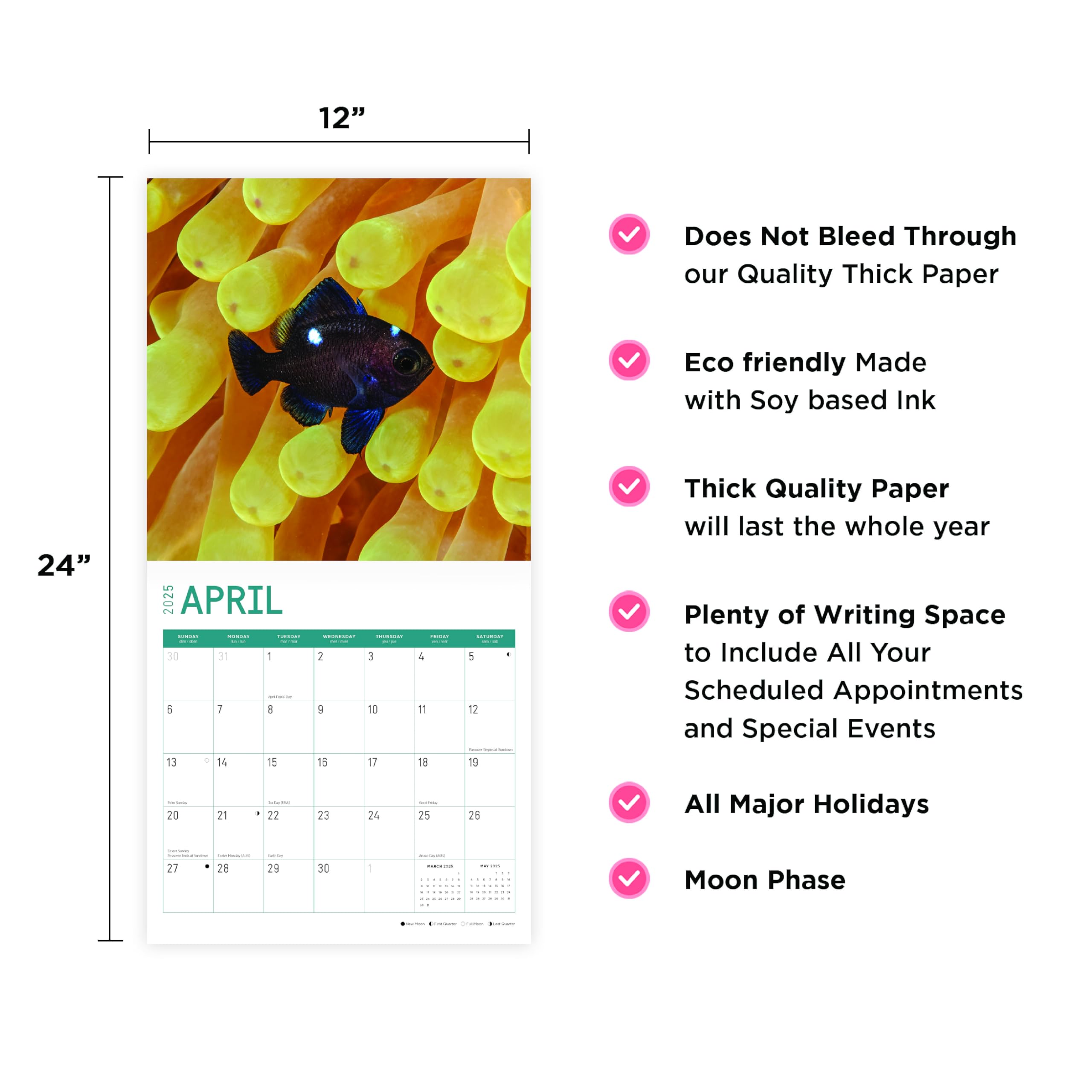 2025 Tropical Fish Monthly Wall Calendar by Bright Day, 12 x 12 Inch ...