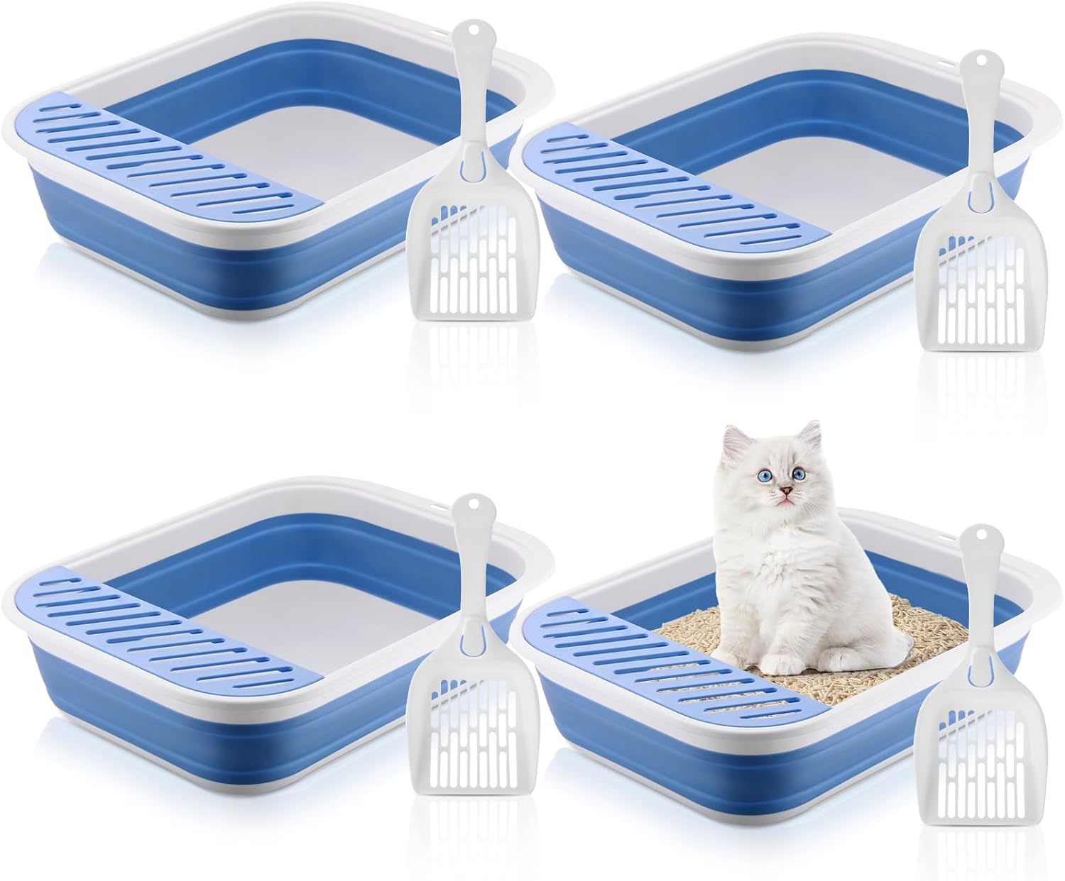 Amazon.com: Ziliny 4 Pcs Collapsible Small Cat Litter Box for Kittens ...