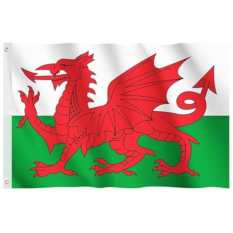 Wales Flag, Hianjoo Welsh National Flags 5ft x 3ft with Eyelets ...