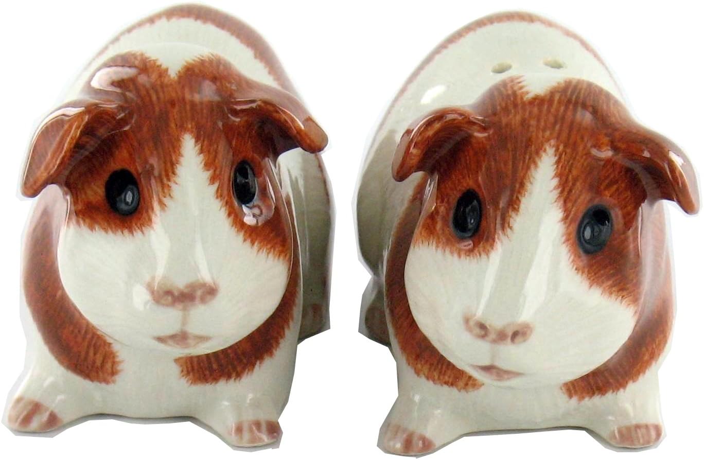Amazon.com: Guinea Pig Salt And Pepper Pots (GW335) Dutch Colour Salt ...