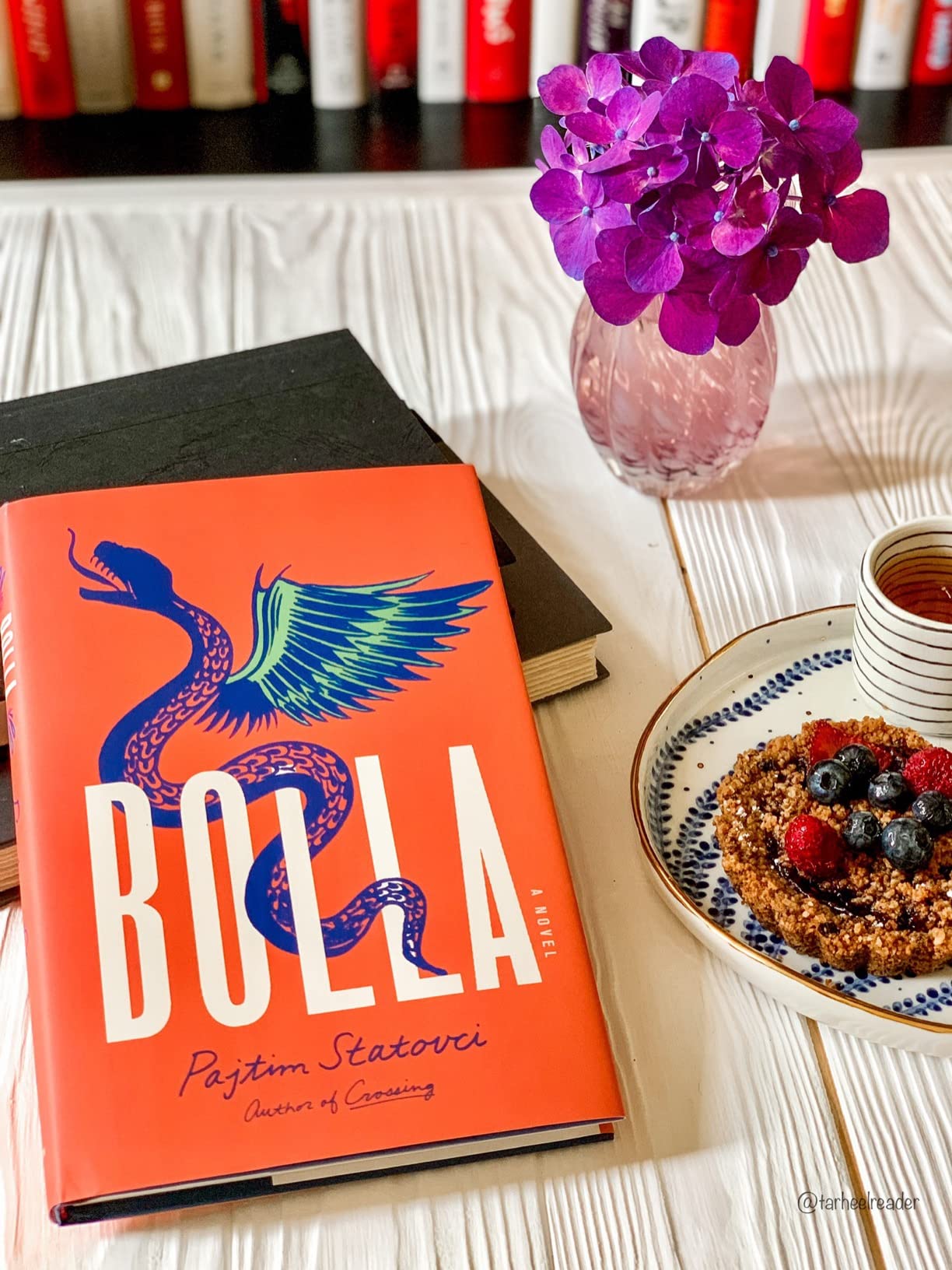 Amazon.com: Bolla: A Novel: 9780593082447: Statovci, Pajtim, Hackston ...