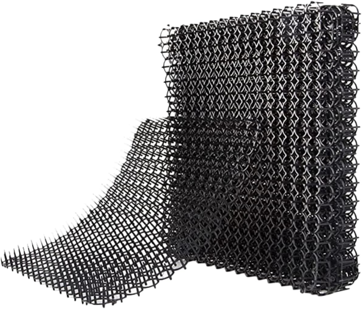 Amazon.com : CUBTOL 10pcs Anti Cat Mat Flower Toy Indoor Toys Toys Dog ...