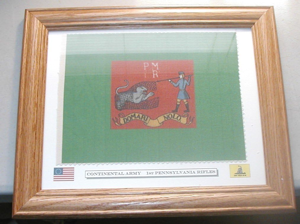 Amazon.com: Framed American Revolution Flag 1st Pennsylvania Rifles ...