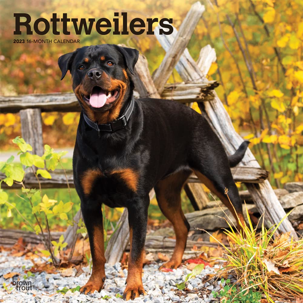 Are Rottweilers Loyal To One Person