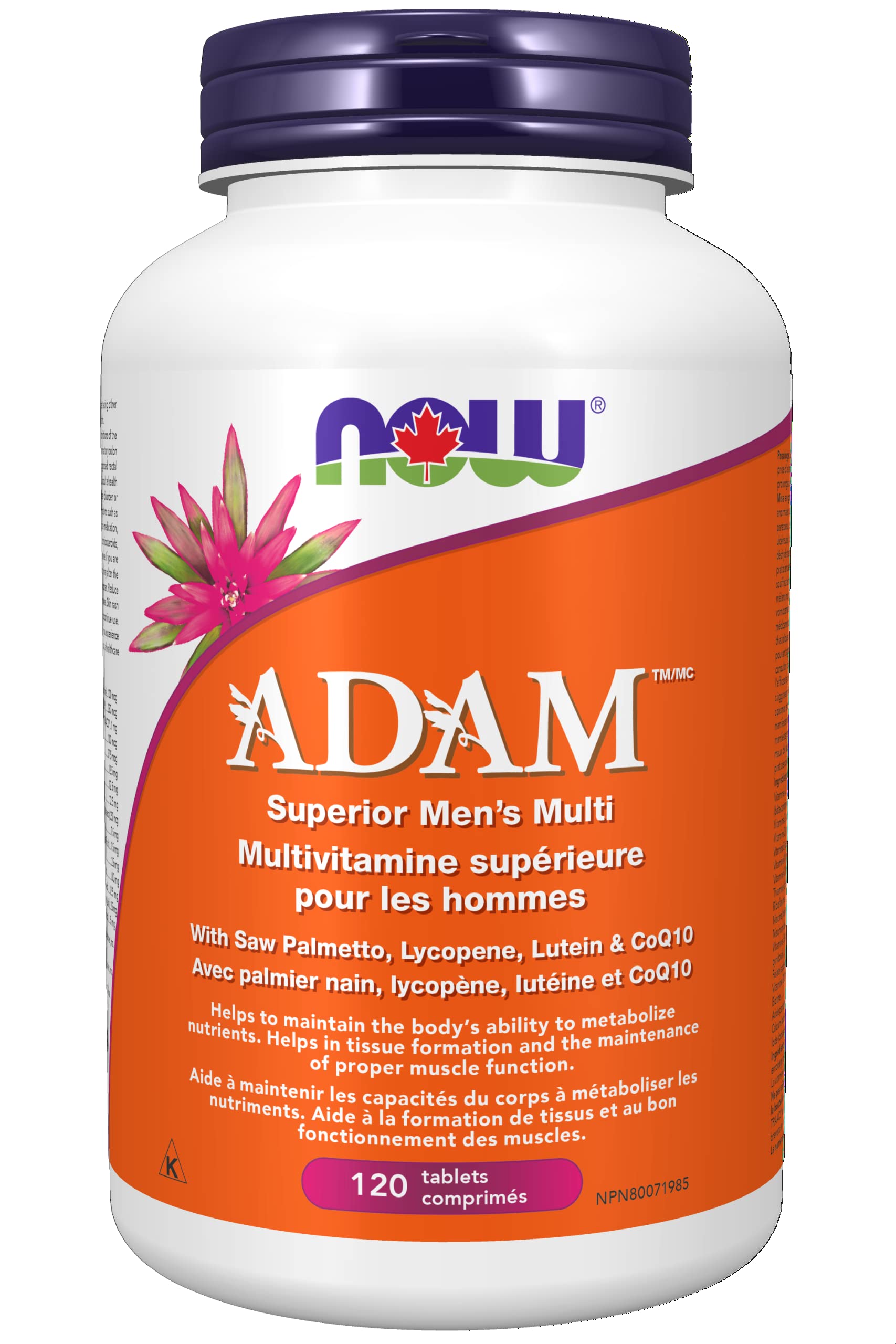 NOW Adam Men's Multi Tablets, 120 Count : Amazon.ca: Health & Personal Care