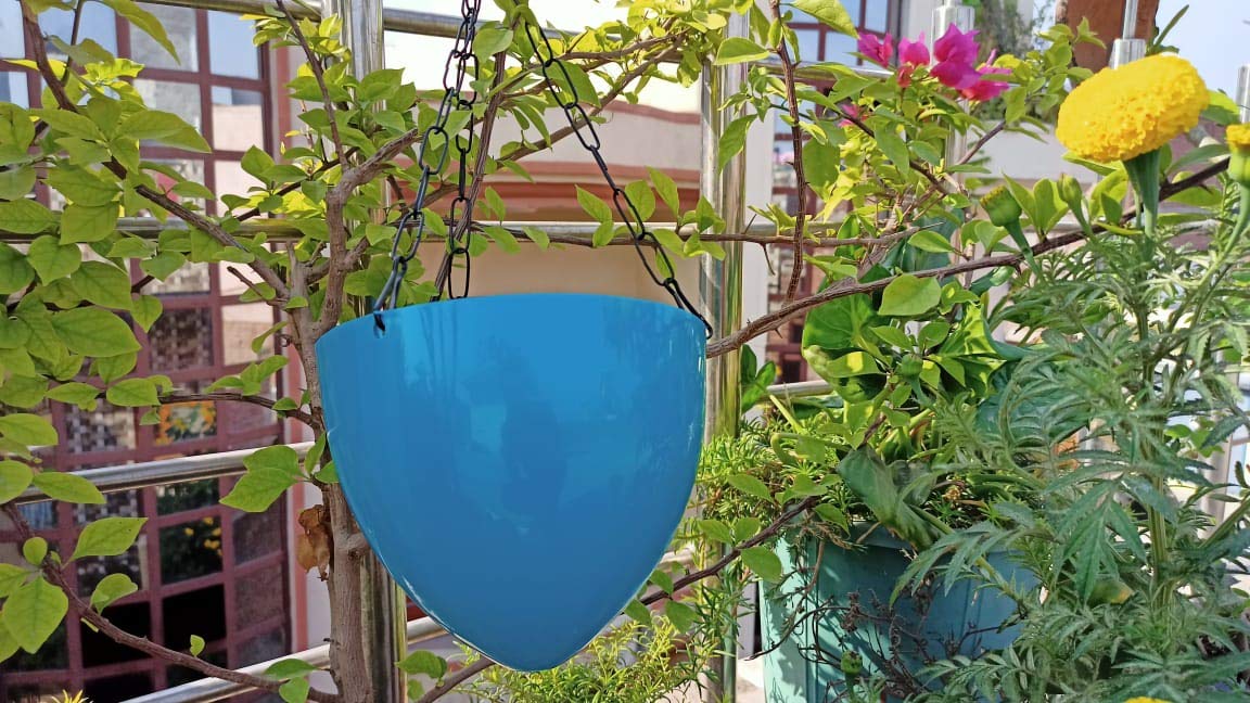 Plastic Nest Hanging Pot (7.5 inches) Bluecolor,Indoor,Outdoor,Balcony ...