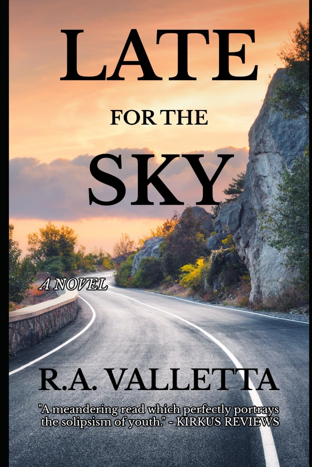 Amazon.com: LATE FOR THE SKY: 9798324474102: VALLETTA, R.A.: Books