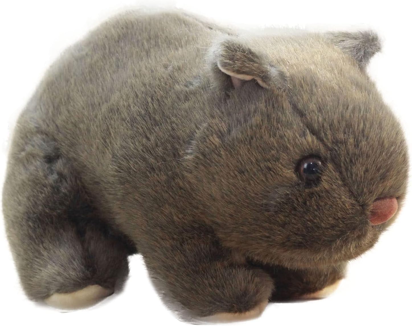 Amazon.com: Adventure Planet 7" Heirloom Wombat, Gray : Toys & Games