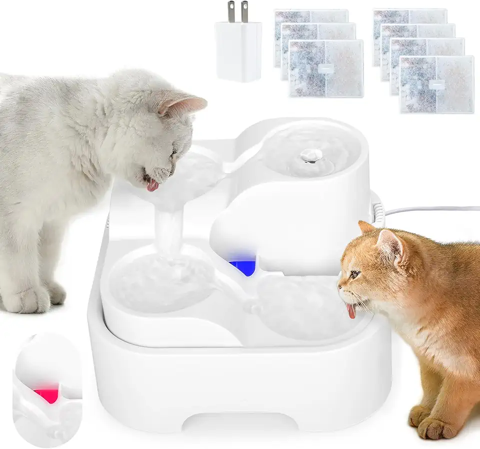 Common Bugs In Cat Water Fountains: How To Deal With Them | PetShun