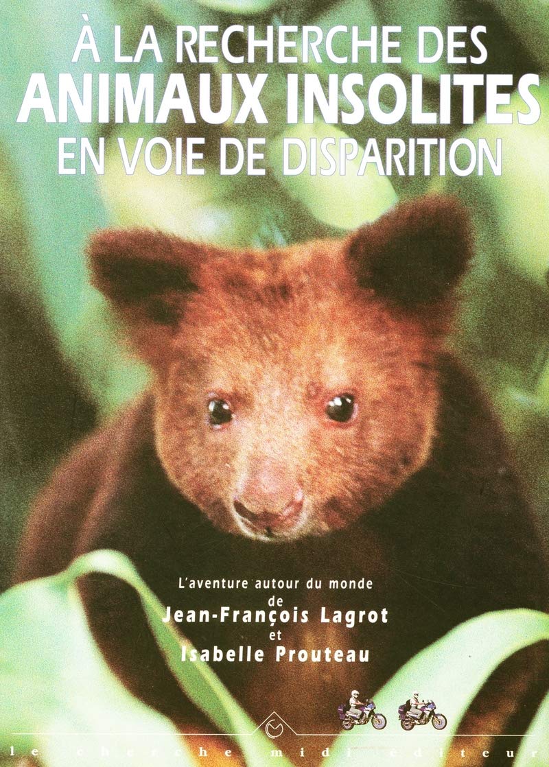À la recherche des animaux insolites en voie de disparition : Lagrot ...