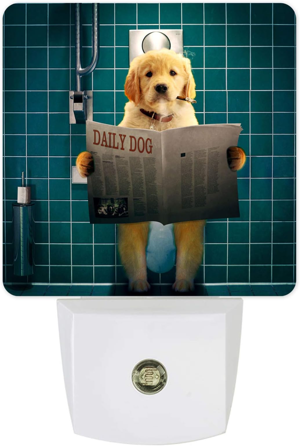 Night Light Plug in LED Lamp Automatic Sensor Night Lights Plug into ...