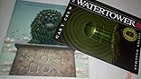 The Stone Lion: Little Hare Books : Wild, Margaret, Voutila, Ritva ...