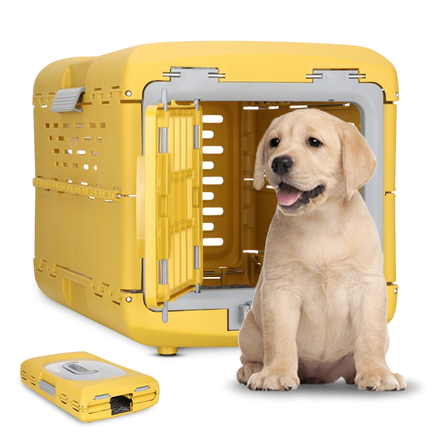 Snapklik.com : Magula Collapsible Pet Crate, Folds To 5 Inches, Weighs ...