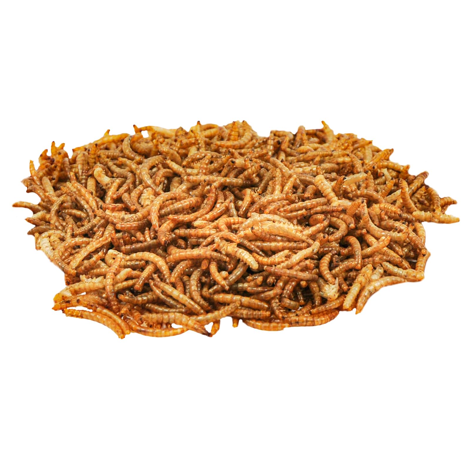 Amazon.com: petamore 2oz Dried Mealworms for Chickens Wild Birds-High ...