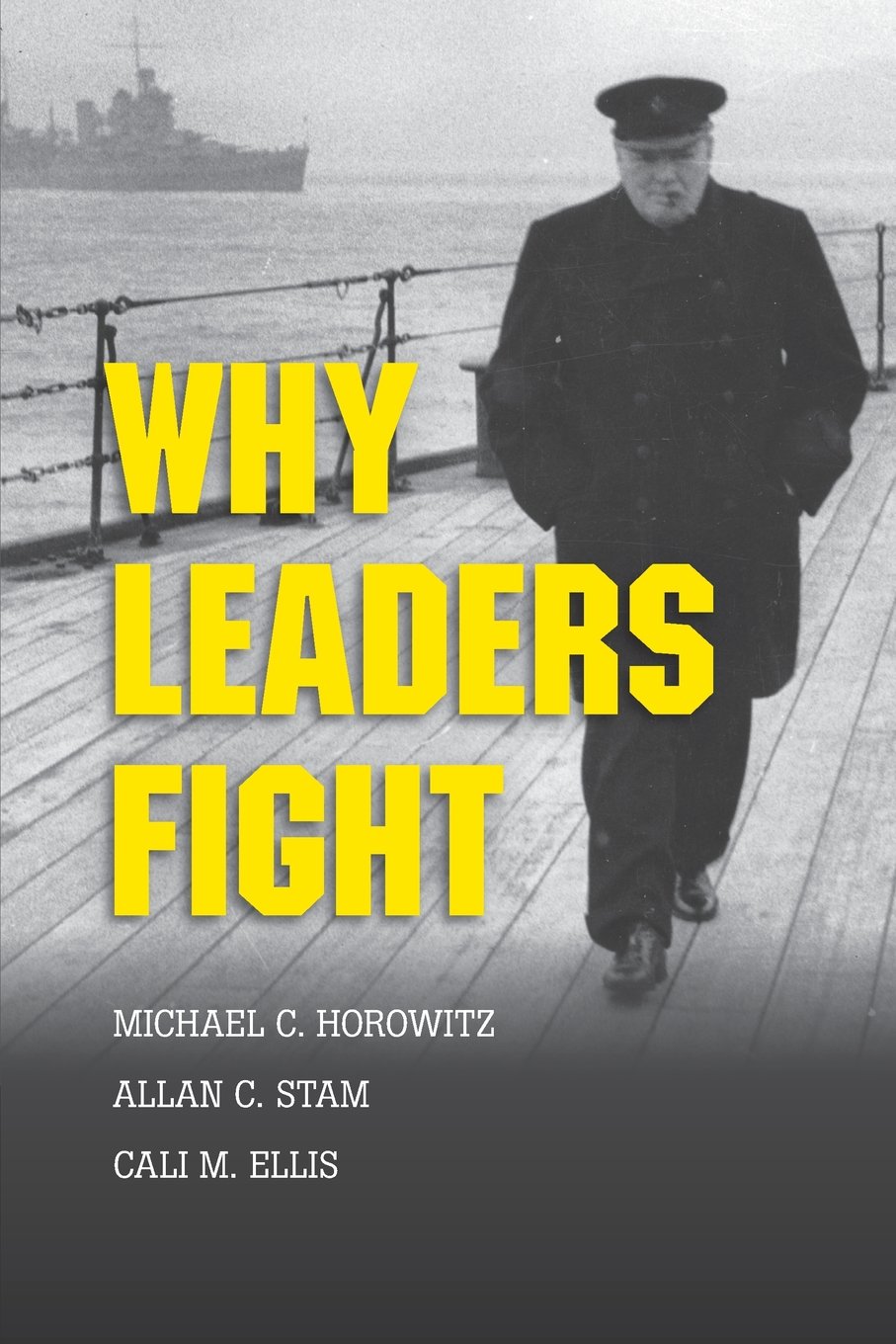 Why Leaders Fight: Horowitz, Michael C., Stam, Allan C., Ellis, Cali M ...