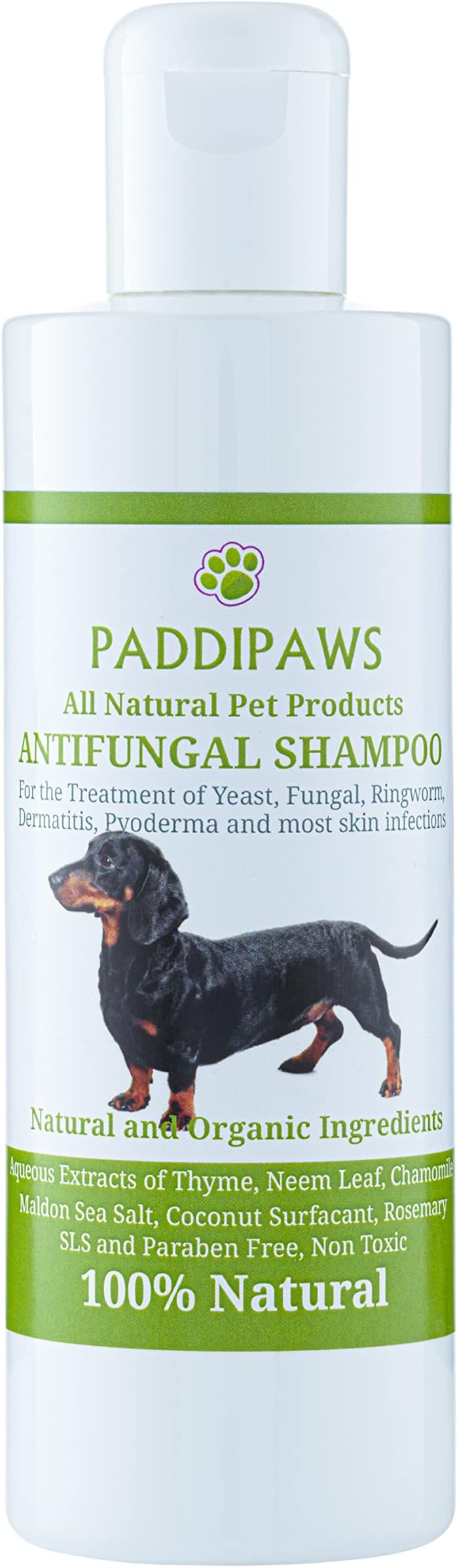 100% Natural Antifungal and Antibacterial Dog Shampoo - Yeast ...