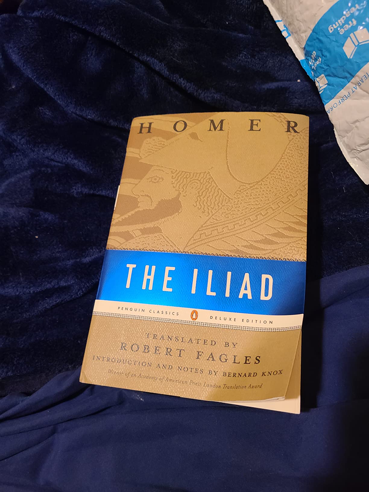 Amazon.com: The Iliad eBook : Homer: Books