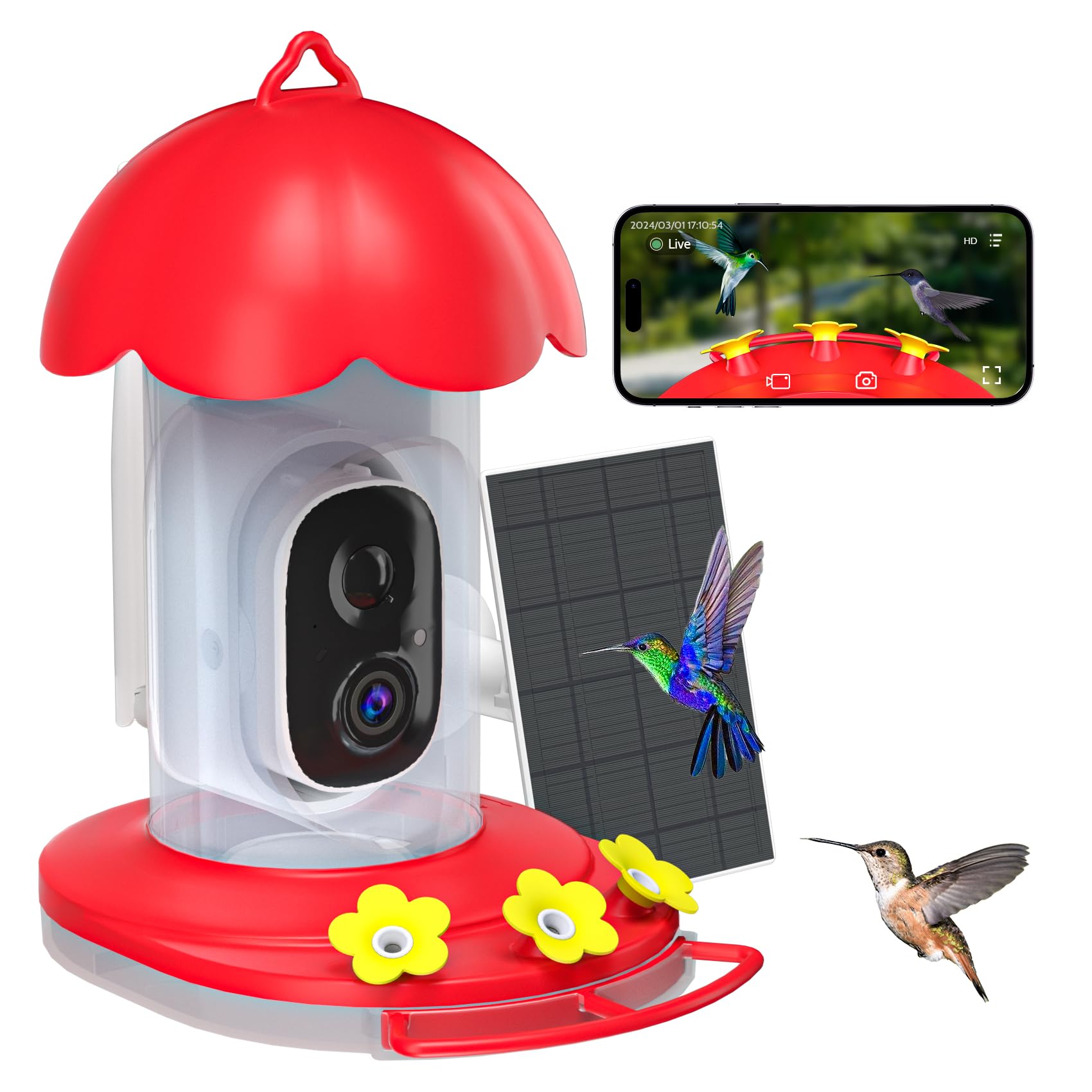 Amazon.com : DOCOON Hummingbird Feeder with Camera Solar Powered, Bird ...