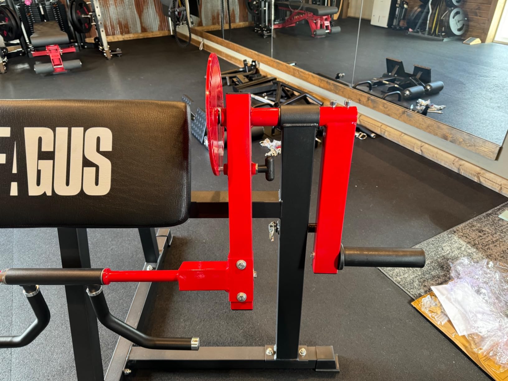 Amazon.com: Fagus H Bicep Tricep Curl Machine, 2 in 1 Exercise ...