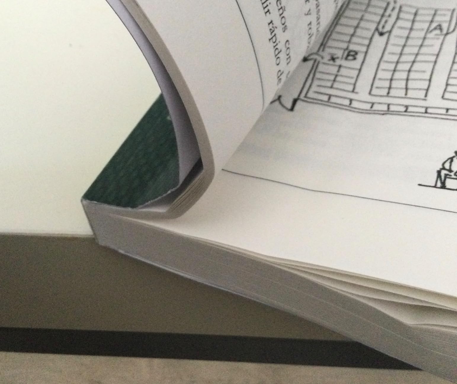 Manual de Supervivencia Urbana: Técnicas y Tácticas de Supervivencia ...